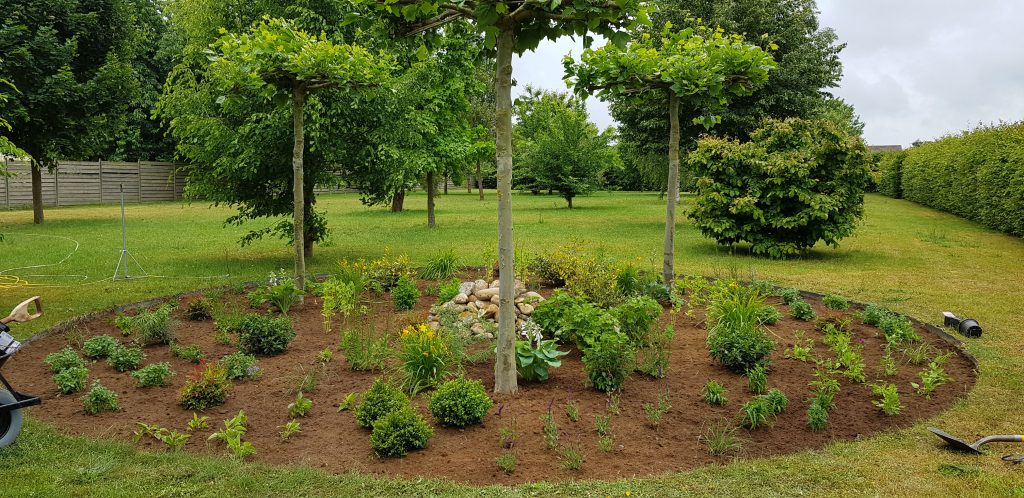 Garten-Leistungen - Robin Schier Garten - Planen, Pflanzen, Pflegen